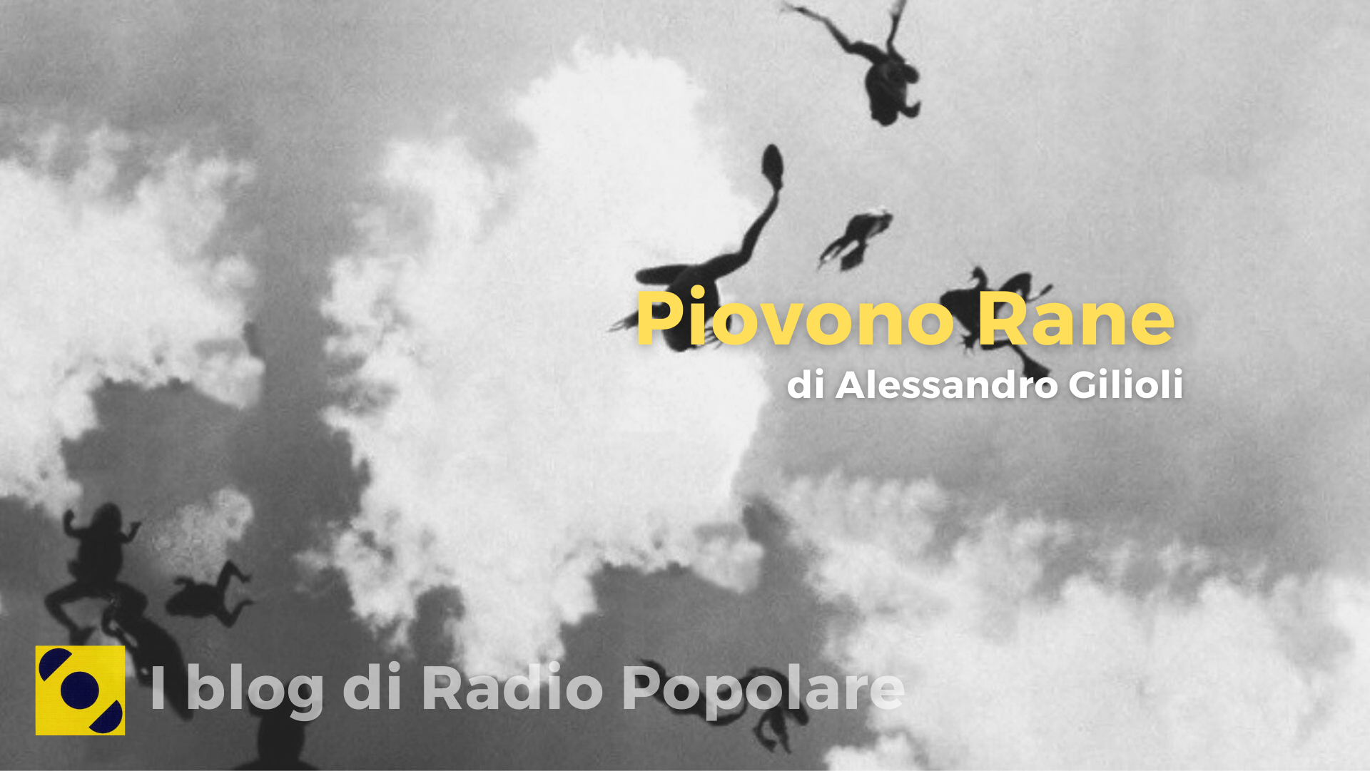 Pecore e leoni, che non lo sono - Blog: Blog